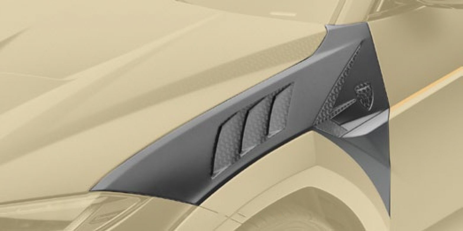 Front fenders with emblem Mansory style Carbon for Lamborghini Urus ...