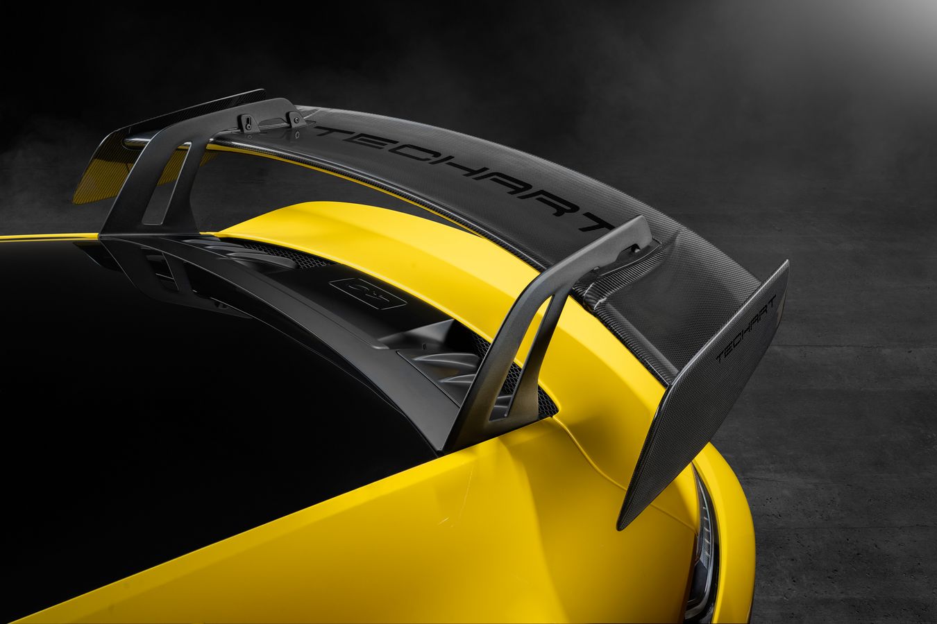 Rear Spoiler Profile with Techart Lettering and Wing End Plates Techart ...