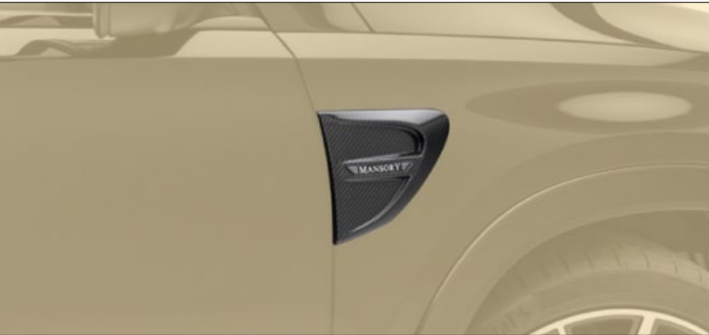 Front fender panel Mansory Carbon for Mercedes GLS X167 Buy with ...