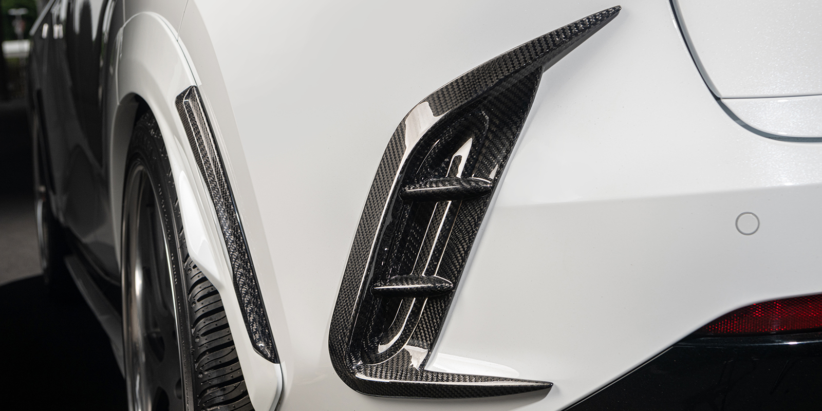 Carbon Rear bumper garnish Artisan Spirits for Lexus NX Version L F ...