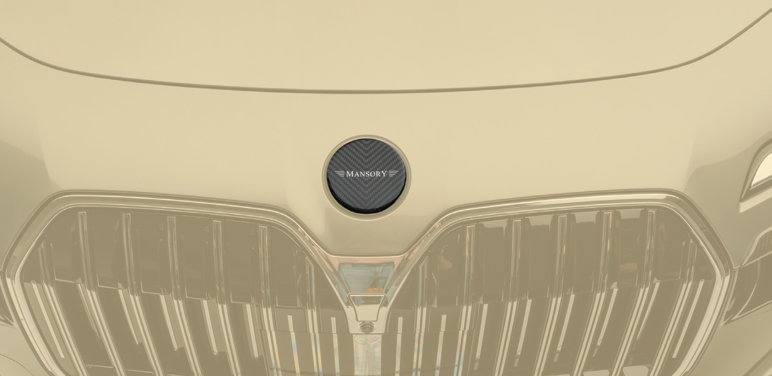 Logo for front bumper Mansory for BMW 7 series G70 Buy with delivery, installation, affordable ...