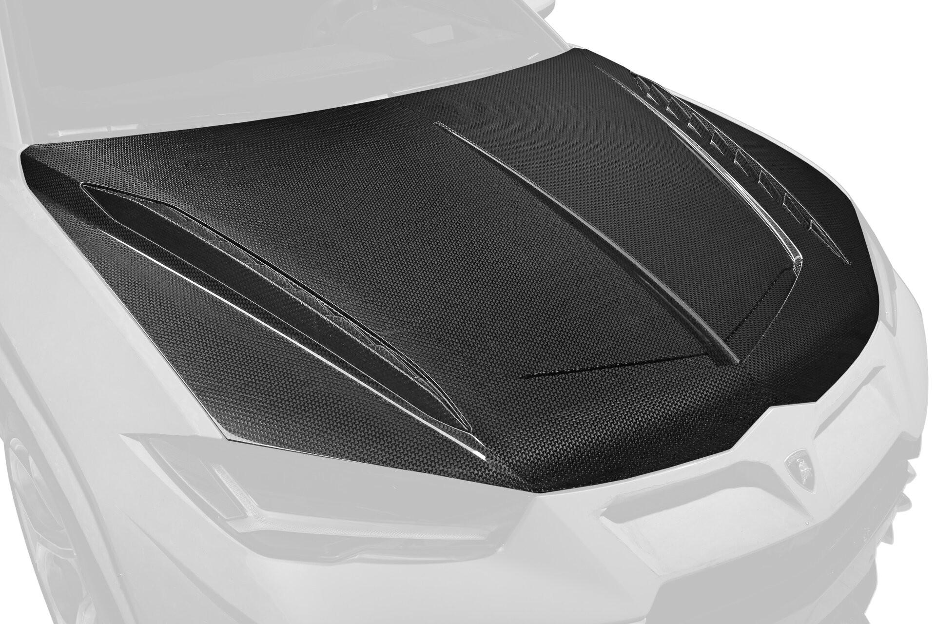 Carbon bonnet R'Evo, visible carbon fiber Compra con entrega ...