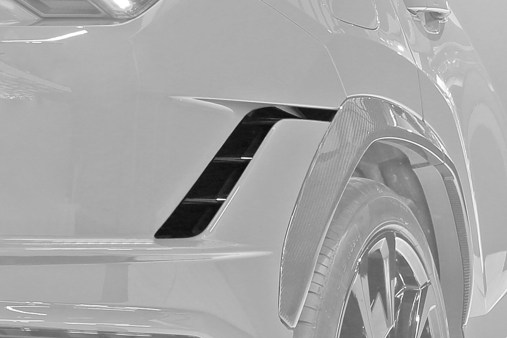 Side air splitters, 2 pcs, visible carbon fiber Buy with delivery ...